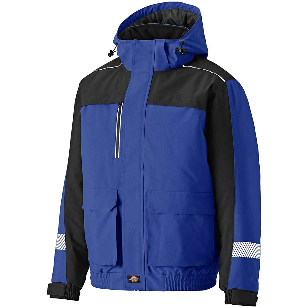 Dickies Mens Winter Jacket Royal Blue Black L