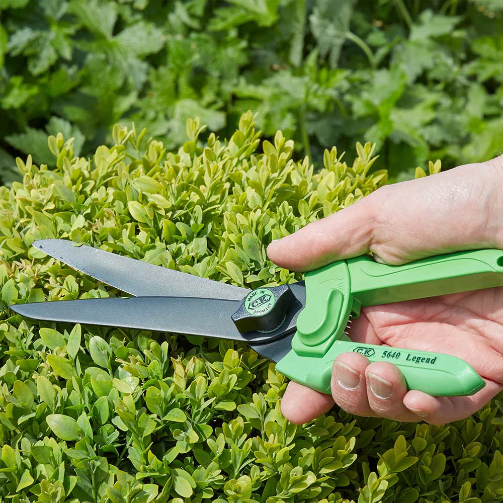Ck garden shears store