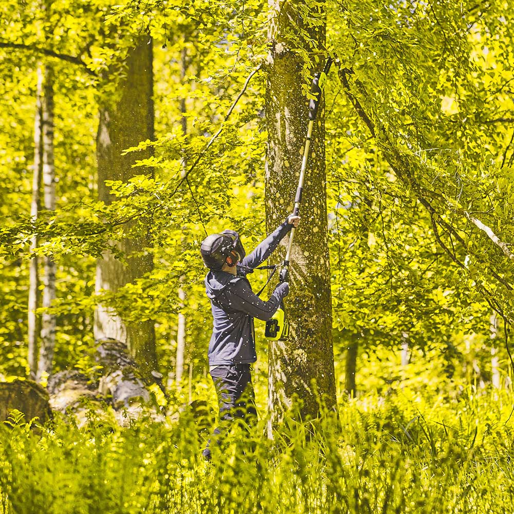 Greenworks pole chainsaw store