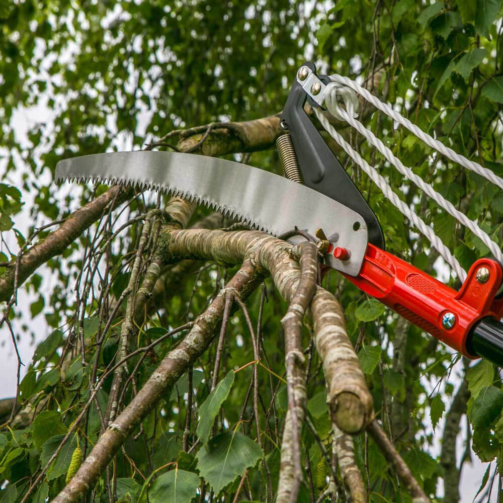 Telescopic tree saw store