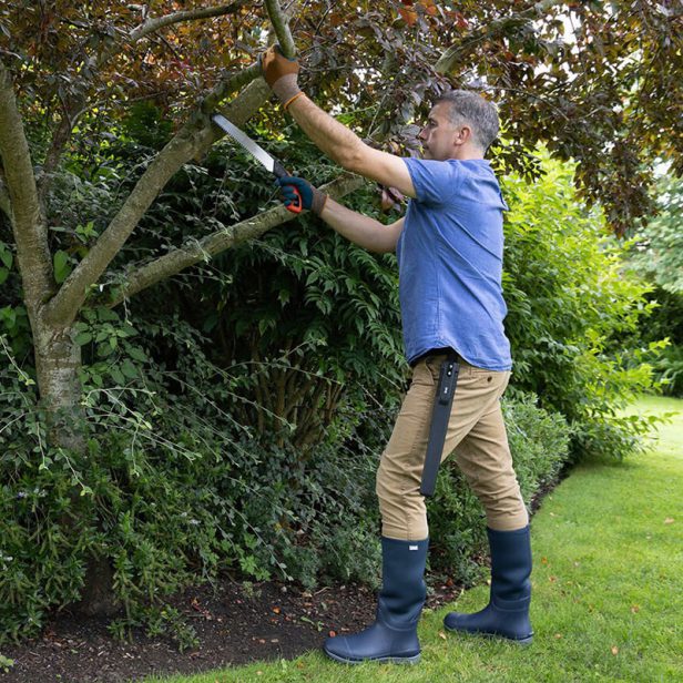 Tree Pruning Hand Tools Tooled-Up Blog